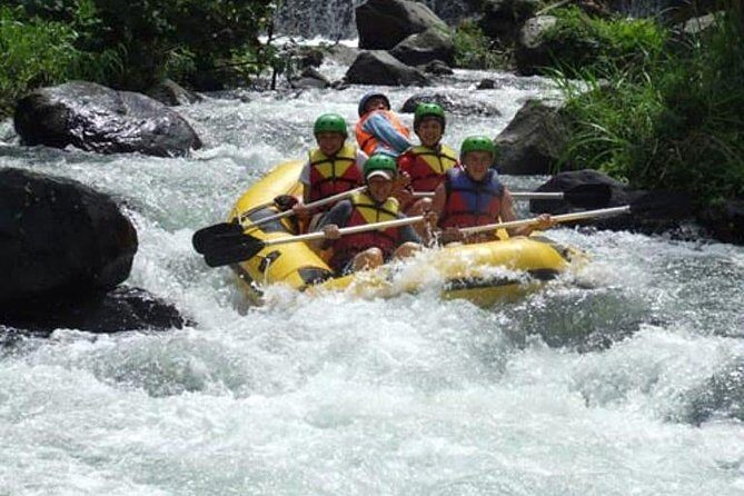 Full-Day Telaga Waja River White Water Rafting with Buffet Lunch - Key Points