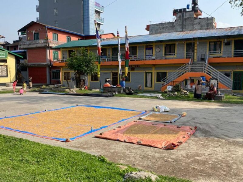 Full Day Tibetan Cultural Tour - Exploring the Itinerary: What Makes Each Stop Special