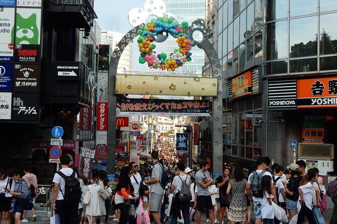 Full Day Tokyo Chartered Taxi Tour From Narita - Transport and Pricing Insights