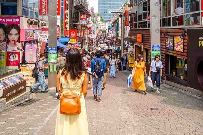 Full day Tokyo private experience with English Speaking Driver - Key Points