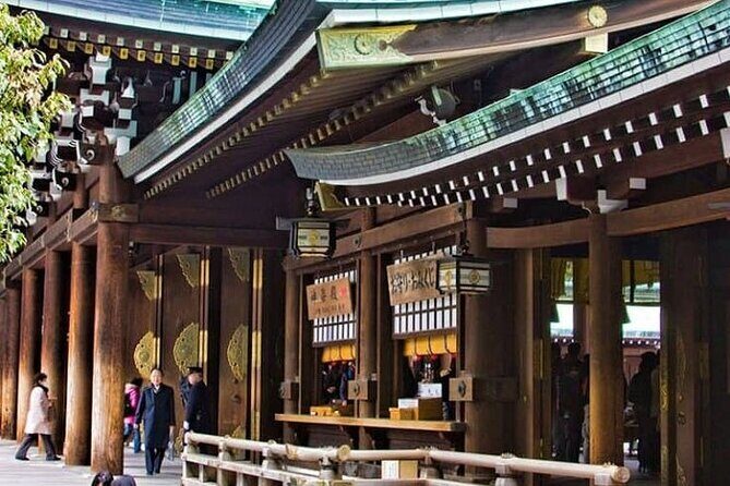 Full day Tokyo private experience with English Speaking Driver - Introduction: Why Consider a Private Custom Tour in Tokyo?