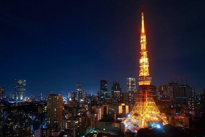 Full Day Tokyo Private Tour by Luxury Vehicle - The Experience in Practice