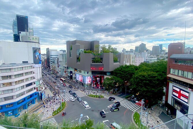 Full Day Tokyo Private Tour by Luxury Vehicle - Who Will Love This Tour?