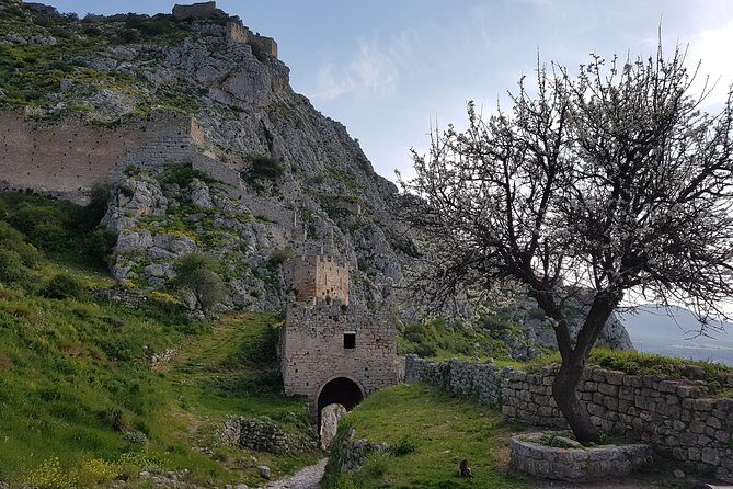 Full day tour Ancient Corinth with wine or olive oil tasting - Who Will Love This Tour?
