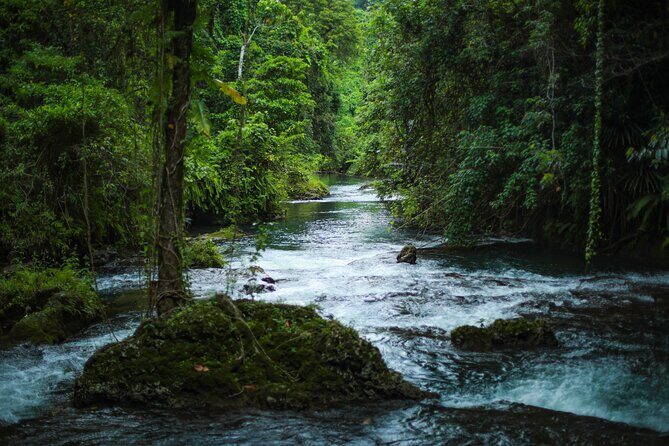 Full Day Tour Cascades Adventure, Turtles and Blue Lagoon - Final Thoughts: Is This Tour Right for You?