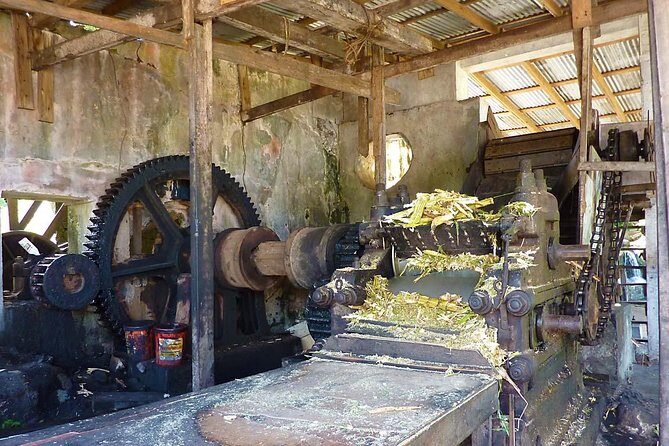 Full-Day Tour: Concord Waterfall, Chocolate Factory, Rum Distillery, Grand Etang - Final Thoughts