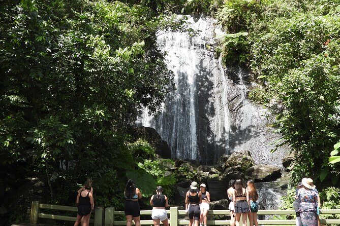Full-Day Tour: El Yunque, Luquillo Beach, Bio Bay Night Kayaking - Key Points