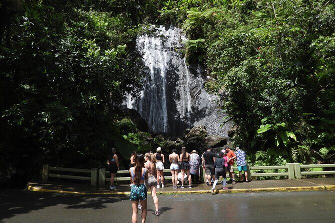 Full-Day Tour: El Yunque, Luquillo Beach, Bio Bay Night Kayaking - Who Will Love This Tour?