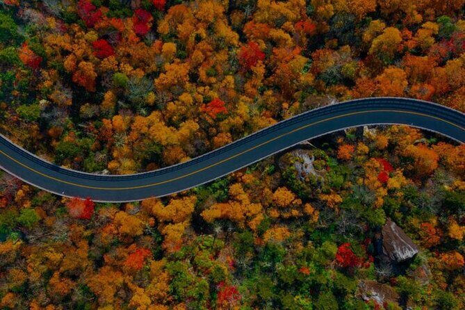 Full Day Tour from Atlanta to Amicalola Falls and Blue Ridge - Why This Tour Stands Out