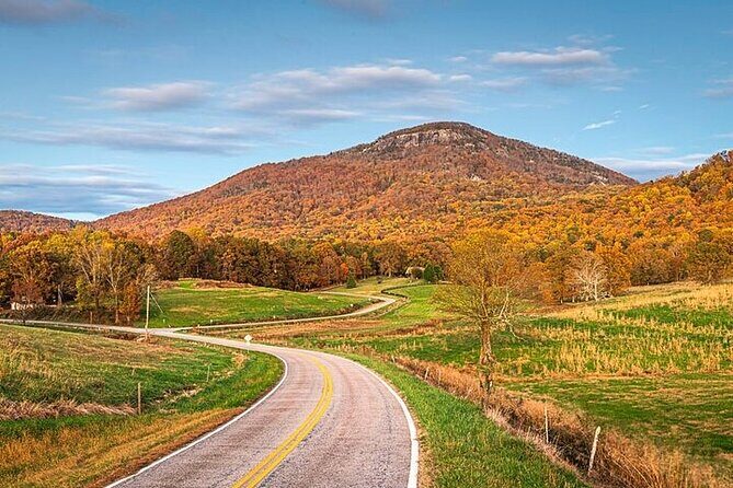 Full Day Tour from Atlanta to Amicalola Falls and Blue Ridge - Real Experience Insights from Travelers