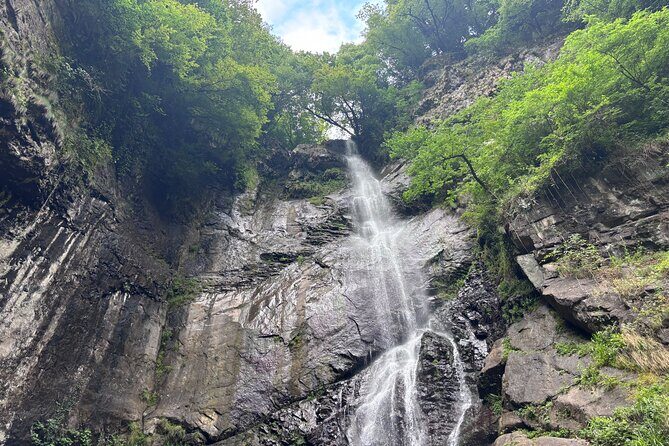 Full Day Tour From Batumi to Waterfalls - Authentic Experiences and Practical Details