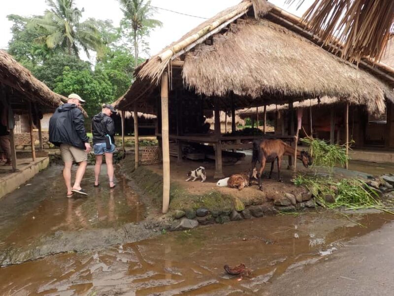 Full day tour from Mataram or Senggi to senaru waterfalls - Exploring the Itinerary in Detail