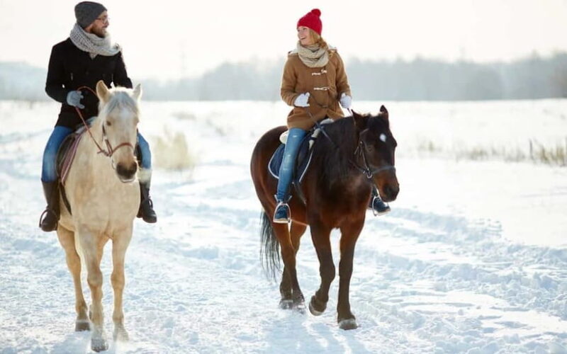 Full-Day Tour from Tashkent: Amirsoy, Chimgan & Charvak - Discovering Uzbekistan’s Mountain Gems