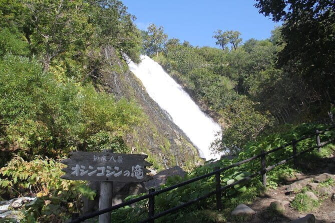 Full-day Tour in Hokkaido Natural Heritage Shiretoko Adventure - Exploring Shiretoko: A Closer Look at the Tour