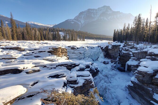 Full Day Tour in Lake Louise and Ice field Parkway - FAQ