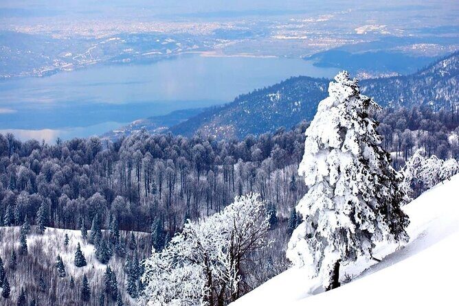 Full-Day Tour in Maukiye and Sapanca with Pick Up - What Travelers Say