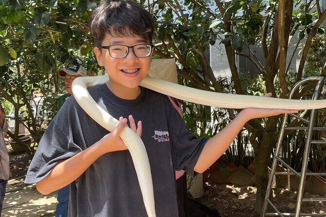 Full-Day Tour in Mekong Delta with Pick Up in Central District 1 - FAQ