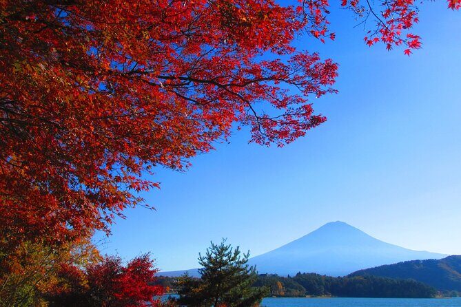 Full Day Tour in Mount Fuji and Oishi Park with Fruit Picking - Key Points