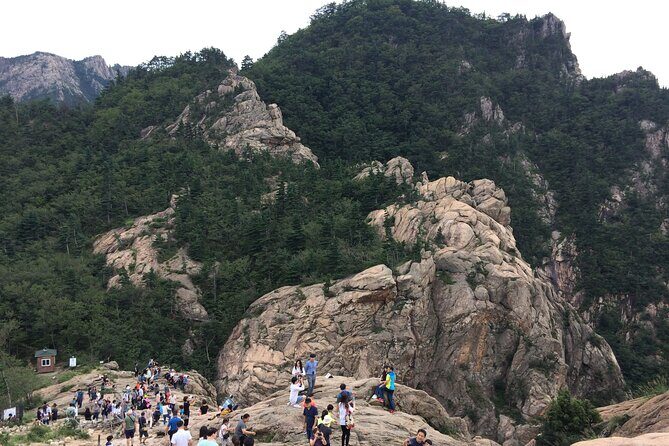 Full-Day Tour in Mt. Seorak & Nami (+Rail Bike Option) - The Sum Up