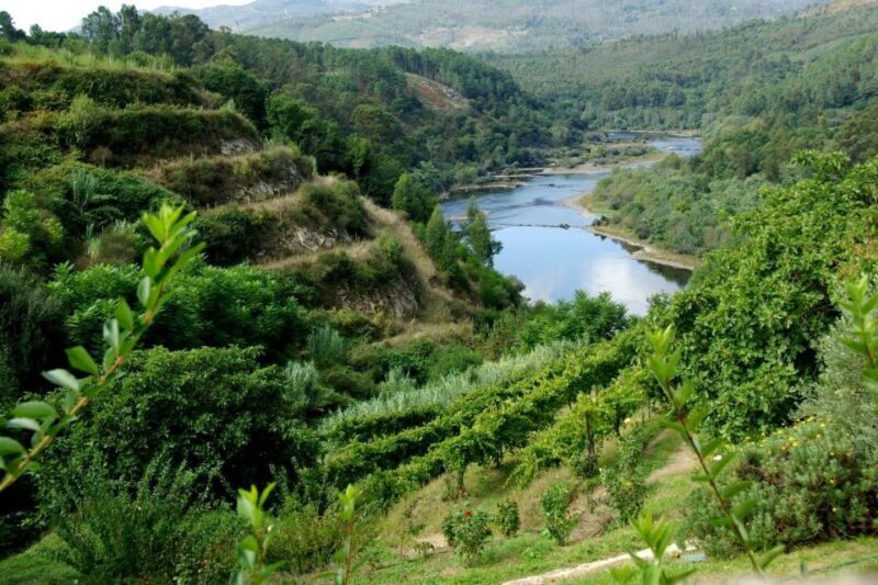 Full Day Tour in Peneda Gerês National Park - Practical Details and Value