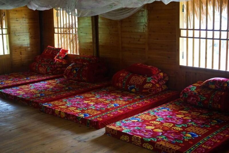 Full Day Tour in Sapa Trekking with Local guide - Introduction to the Tour Experience