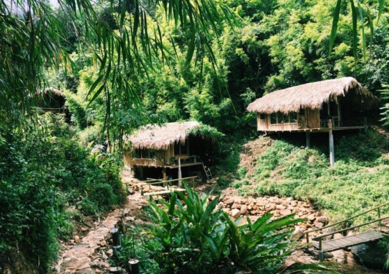 Full Day Tour in Sapa Trekking with Local guide - Practical Tips for Travelers