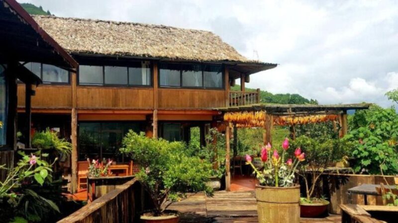 Full Day Tour in Sapa Trekking with Local guide - Who This Tour Is Best For