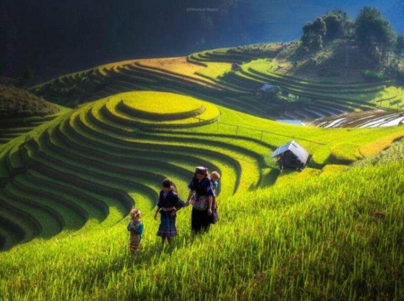 Full Day Tour in Sapa Trekking with Local guide - FAQ (Frequently Asked Questions)
