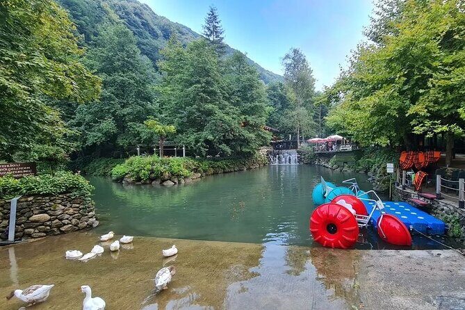 Full Day Tour in Sapanca & Masukiye from Istanbul - What to Expect: Quality, Value, and Authenticity