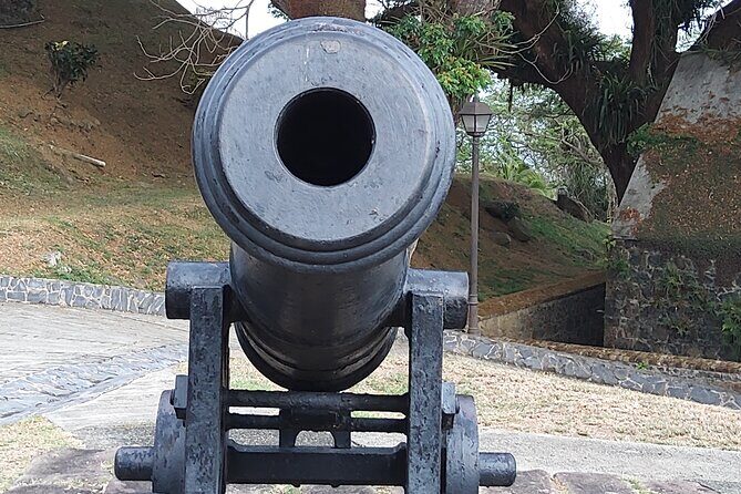 Full Day Tour in Tobago Island with Lunch - Key Points