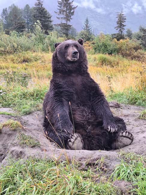 Full-day Tour in Turnagain - Practical Details and Traveler Tips