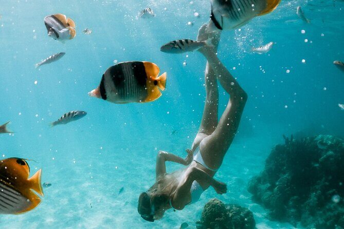 Full Day Tour : Moorea Snorkeling & Sunset Cruise on a Catamaran named Taboo - Setting the Scene: What Does the Experience Involve?