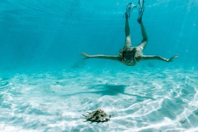 Full Day Tour : Moorea Snorkeling & Sunset Cruise on a Catamaran named Taboo - Who This Tour Is Best For