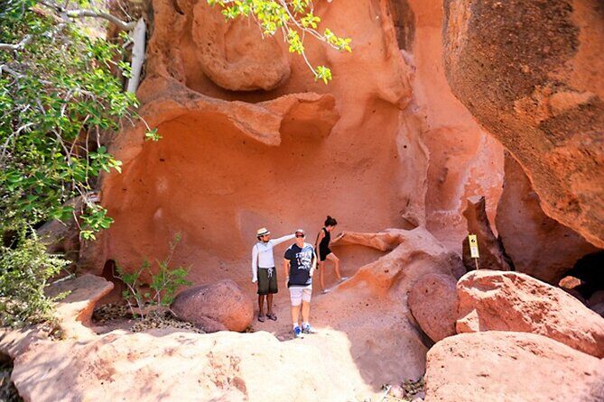 Full-Day Tour Nature Experience at Isla Espiritu Santo! Sea Lions - Who Would Love This Experience?