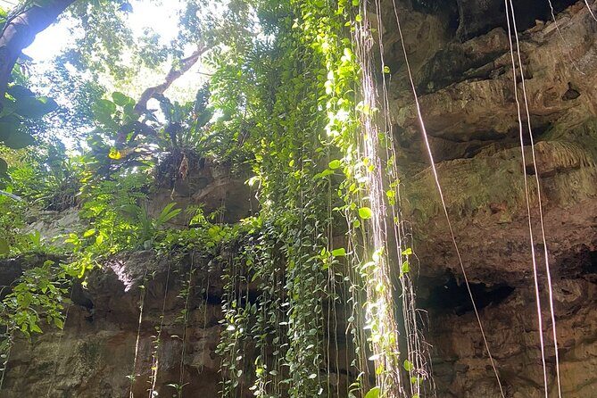 Full Day Tour of 17th Century Hacienda with Cenotes - What Past Travelers Are Saying