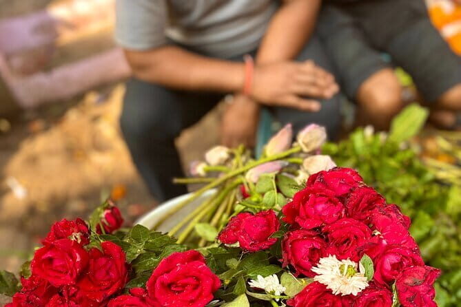 Full Day Tour of Delhi Including a Heritage Walk in Old Delhi - Who Should Take This Tour?