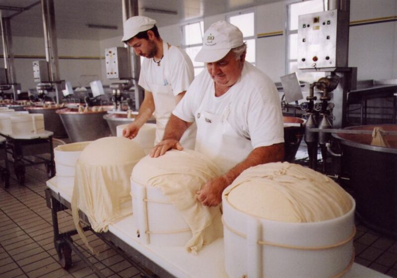 Full day tour of Ferrari,Parmesan,Vinegar, Lambrusco w/Lunch - What Makes This Tour Stand Out?