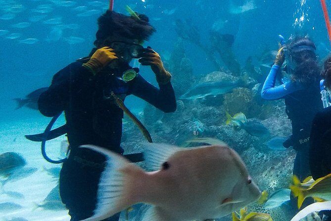Full-Day Tour of Florida Keys Including Aquarium Encounters from Key West - Exploring the Itinerary: A Detailed Breakdown