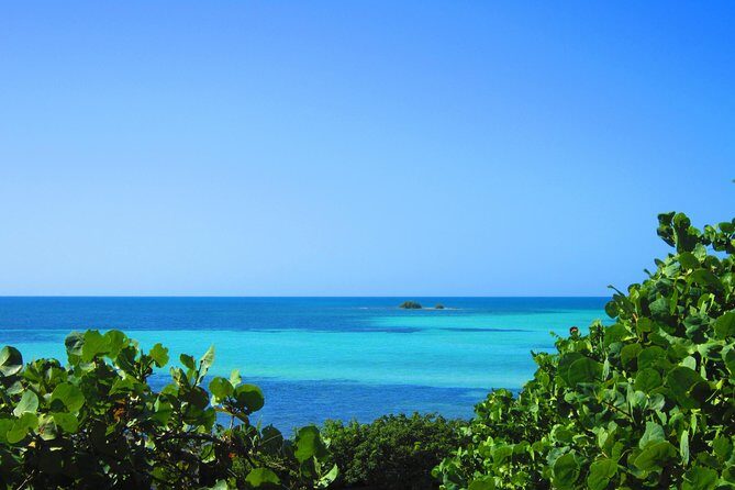 Full-Day Tour of Florida Keys Including Aquarium Encounters from Key West - Final Thoughts