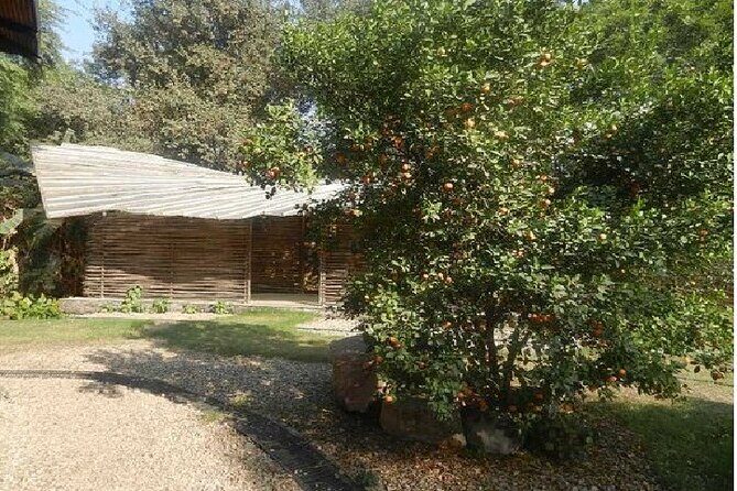 Full Day Tour Of Gnostic Center In Delhi With Vegetarian Lunch - FAQs About the Gnostic Center Tour