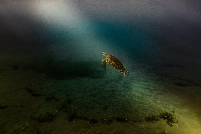 Full Day Tour of Guadeloupe - The Value and Who Will Love This Tour