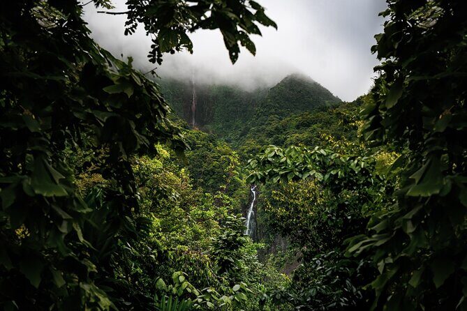 Full Day Tour of Guadeloupe - FAQ