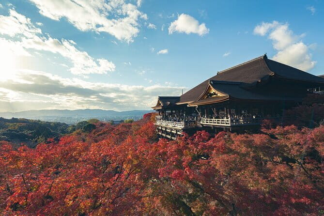 Full Day Tour of Kyoto with Private Transportation - Exploring Kyoto in Style and Comfort
