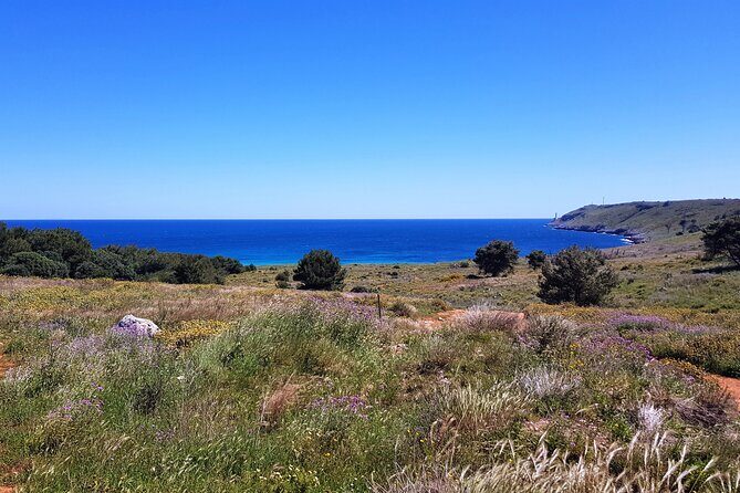 Full Day Tour of Otranto City and its Amazing Seacoast from Lecce - Grotta Della Poesia: Natures Swimming Pool