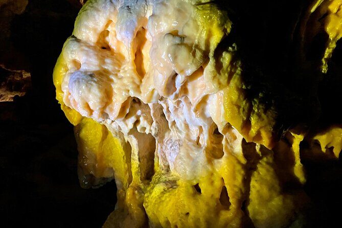 Full-day tour of Postojna Cave and Bled Lake From Ljubljana - What the Reviews Say