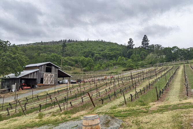 Full-Day Tour of Rogue Valley Wineries - Key Points