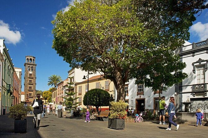 Full Day Tour of Santa Cruz and San Cristóbal de La Laguna - Who Will Love This Tour?