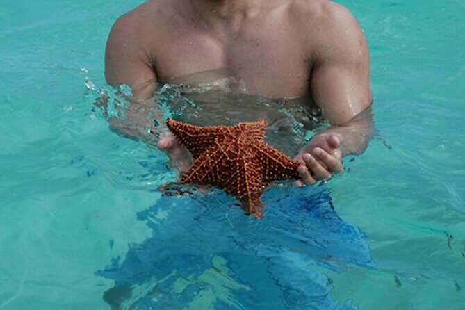 Full-Day Tour of Saona Island from Punta Cana - FAQ