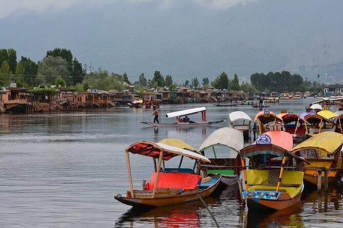 Full day tour of Srinagar with Entrance Fee, Guide & Shikara ride - Key Points