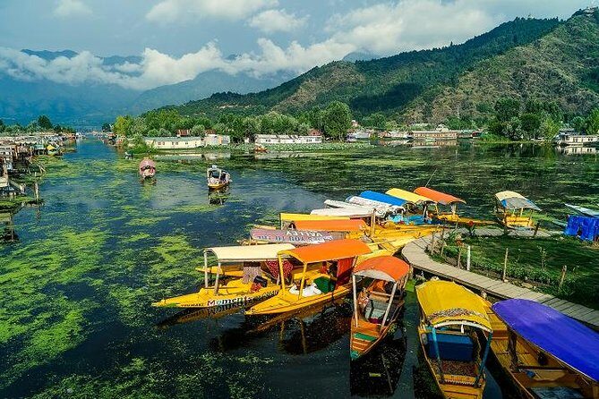 Full day tour of Srinagar with Entrance Fee, Guide, Shikara ride & Lunch - Exploring Srinagar: A Glimpse into the City’s Rich Tapestry